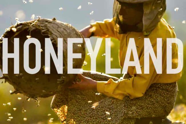 HONEYLAND | Stuck On On